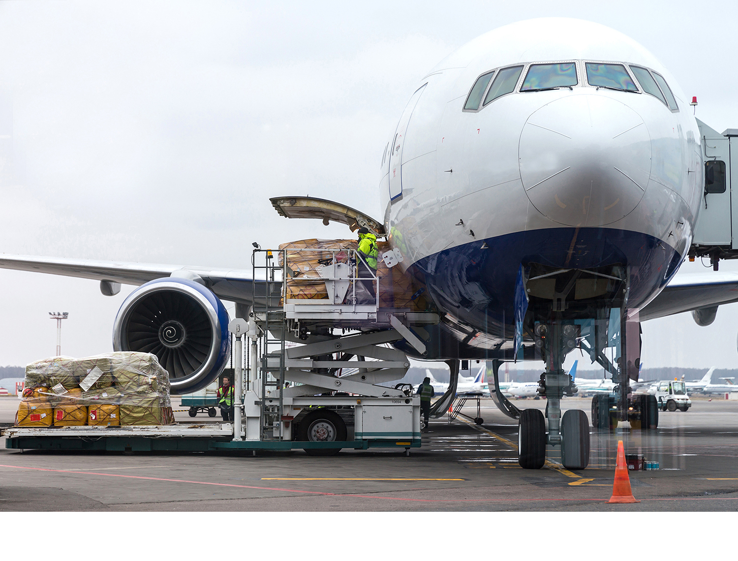 Salvus – Just another WordPress site